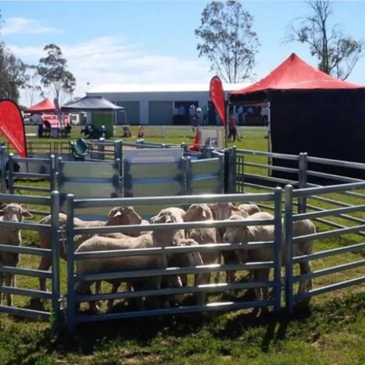 Heavy Duty Livestock Steel Tubing Corral Panels Used as Round Pen 3X3 ...