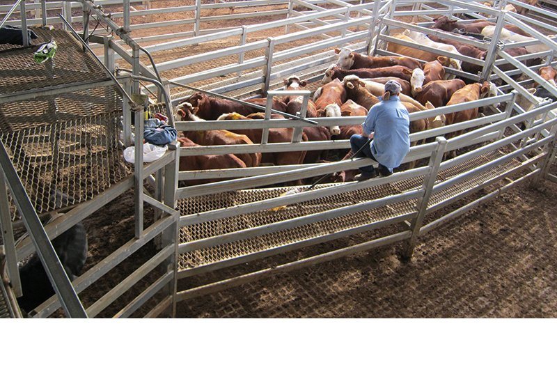 Livestock Farm Fence/Horse Fence Panel /Cattle Fence Panel Horse Sheep ...